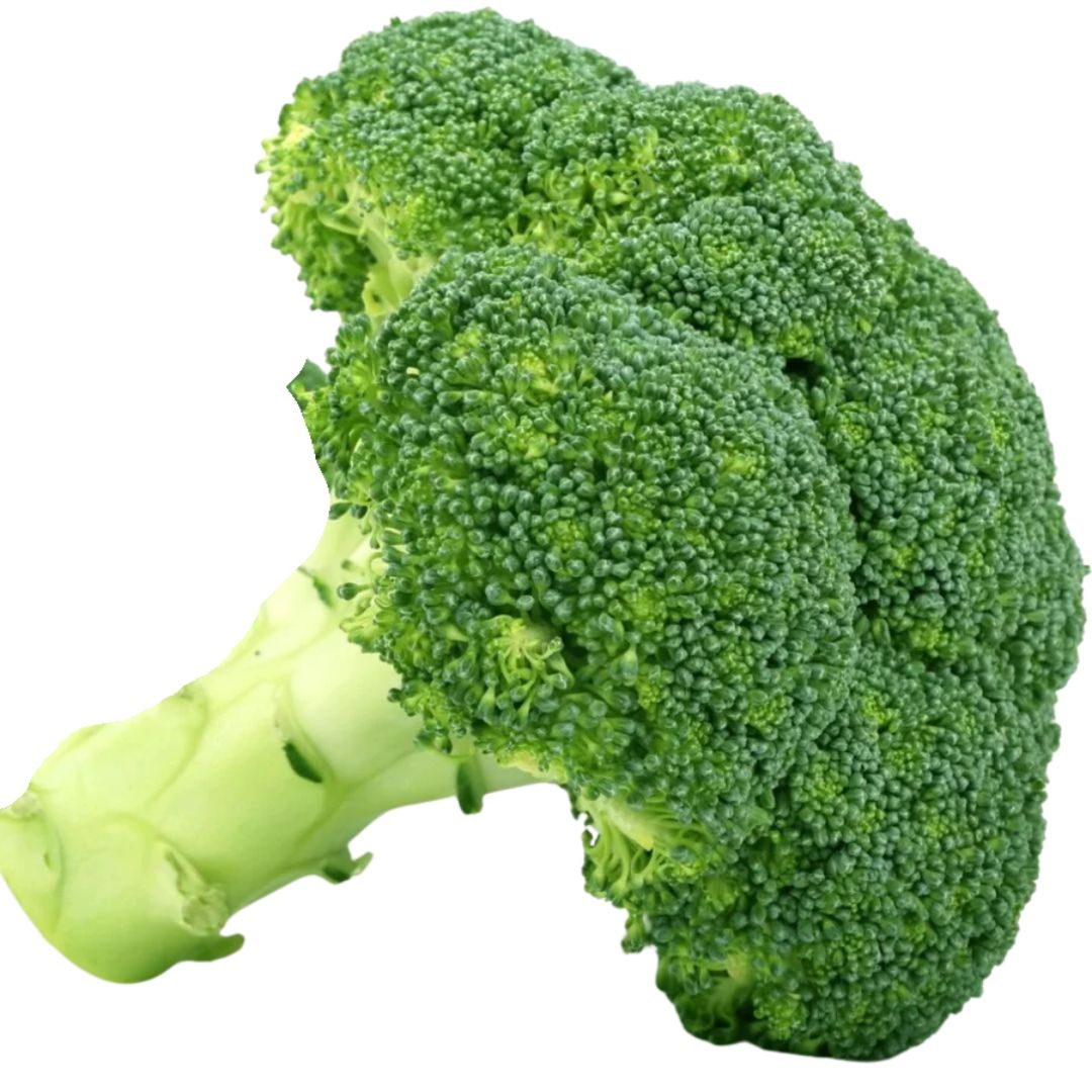 Broccoli Green Punnet – Lumpys Nursery & Landscape Yard
