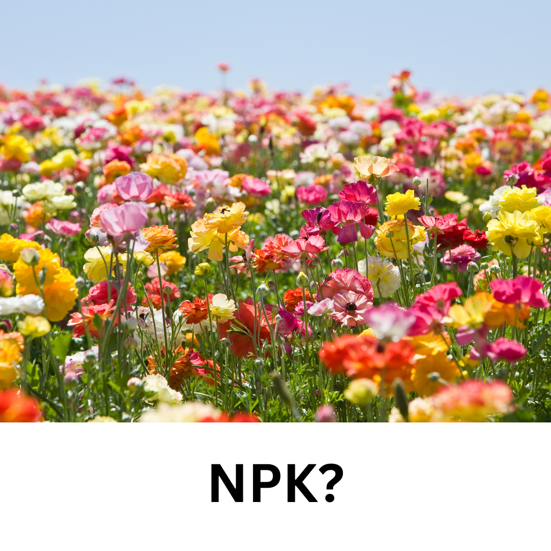 Understanding the Chemistry of NPK and Trace Elements for a Thriving G ...
