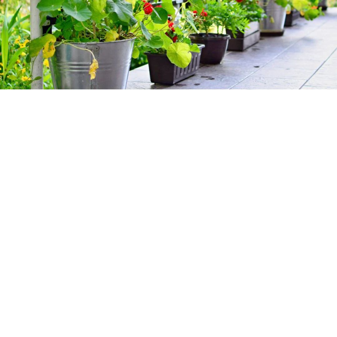LIGHTWEIGHT POT – Lumpys Nursery & Landscape Yard