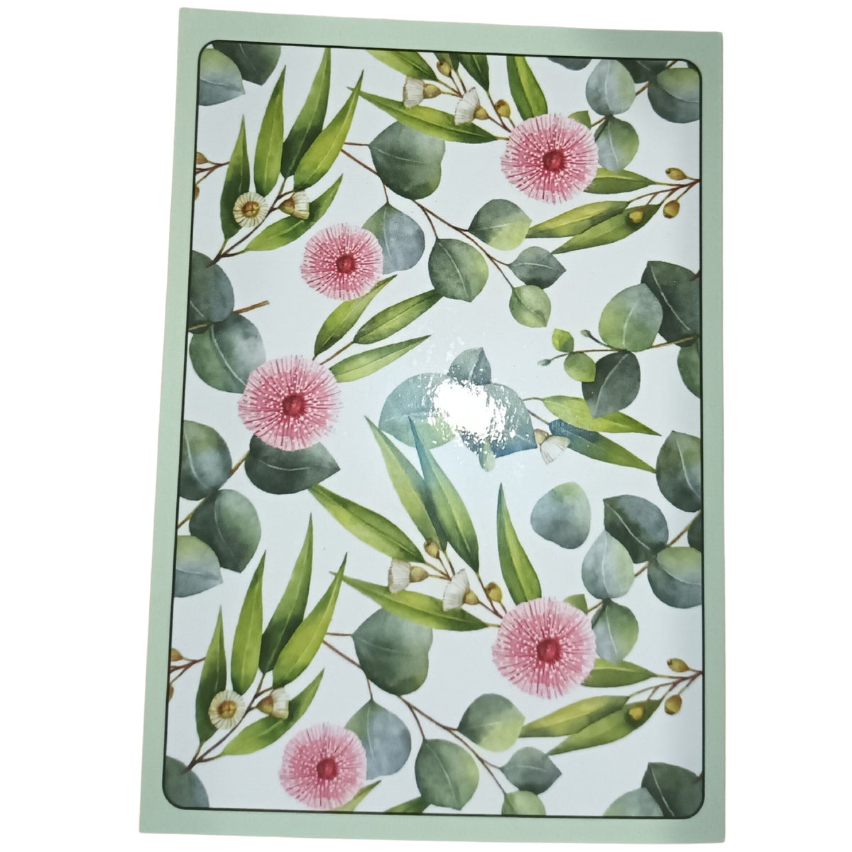 Card Eucalyptus – Lumpys Nursery & Landscape Yard