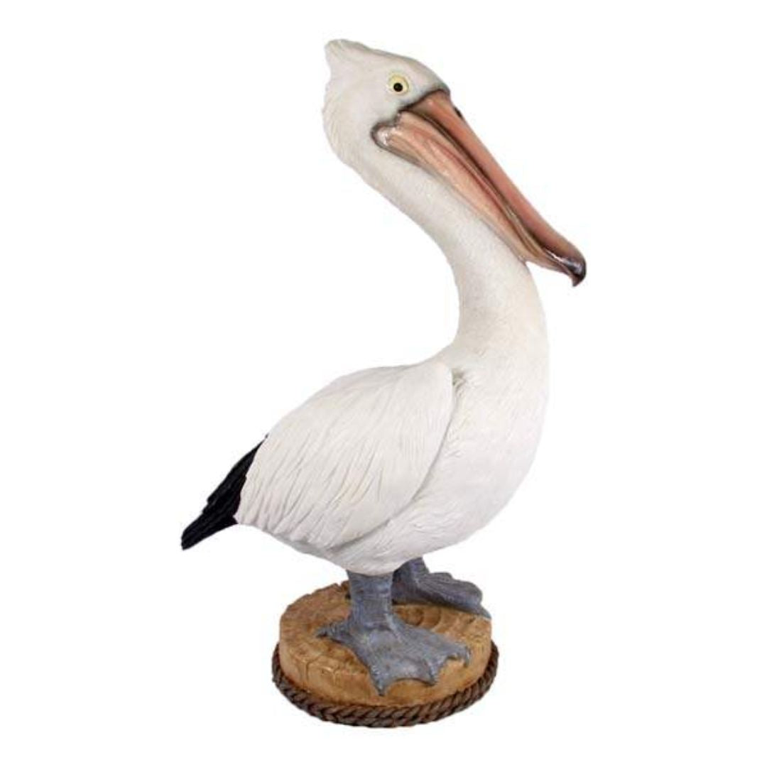 Pelican On Stump 55cm – Lumpys Nursery & Landscape Yard