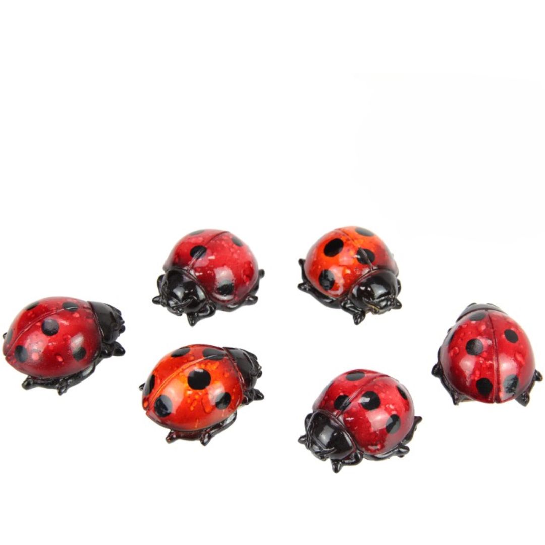 Ladybug Marble Look 5cm – Lumpys Nursery & Landscape Yard