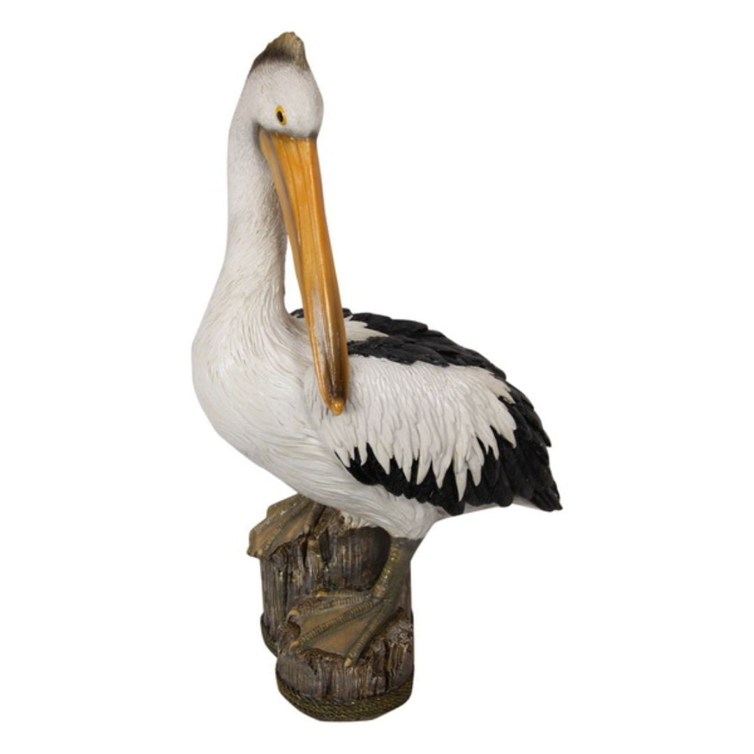 Pelican On Log 41cm – Lumpys Nursery & Landscape Yard