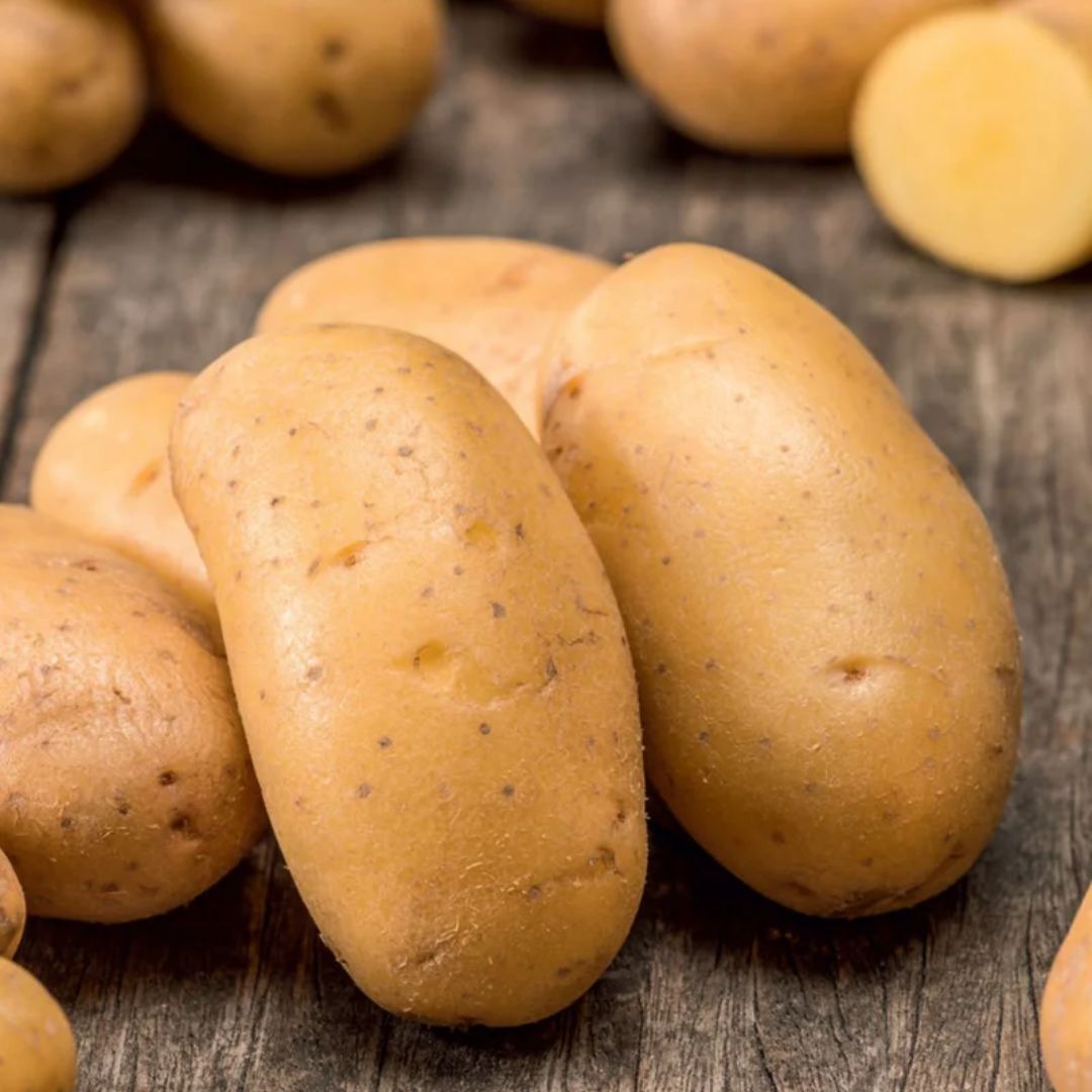 Fothergills Seed Potato Nicola 500g – Lumpys Nursery & Landscape Yard