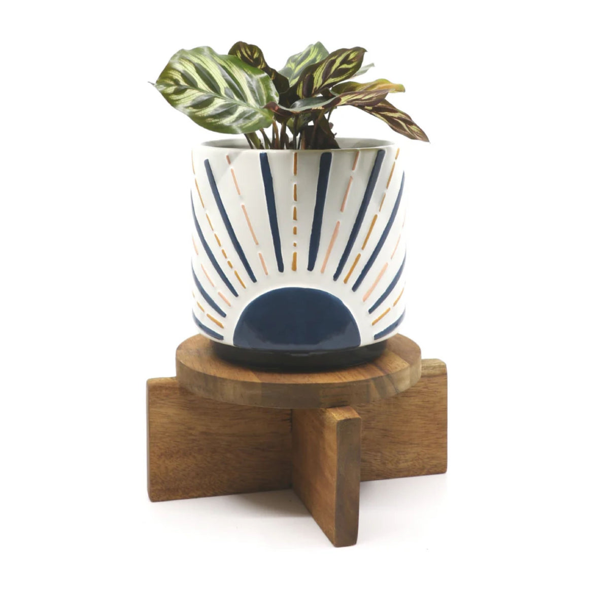 Northcote Pottery Callan Timber Pot Stand 15x9cm – Lumpys Nursery ...