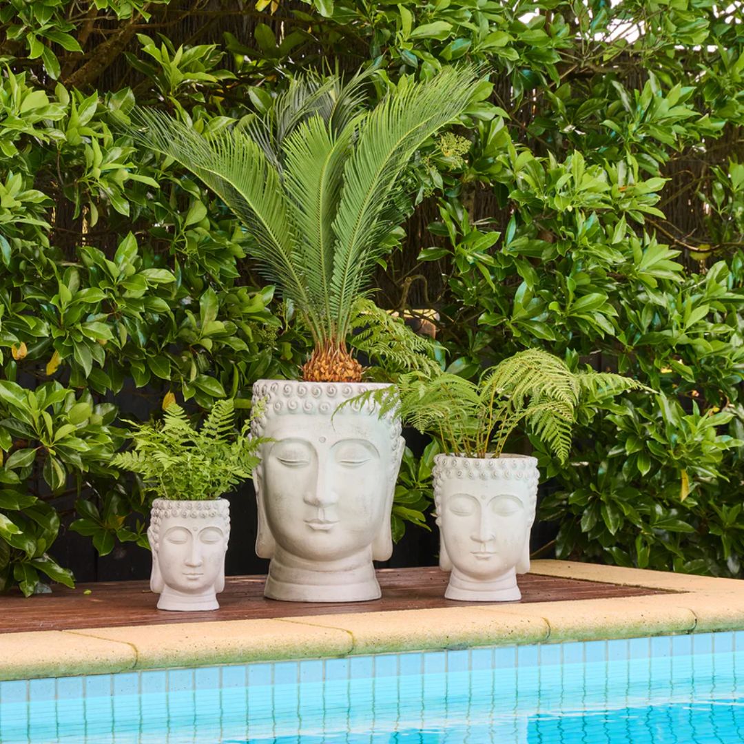 Northcote Pottery Balinese Planter White – Lumpys Nursery & Landscape Yard