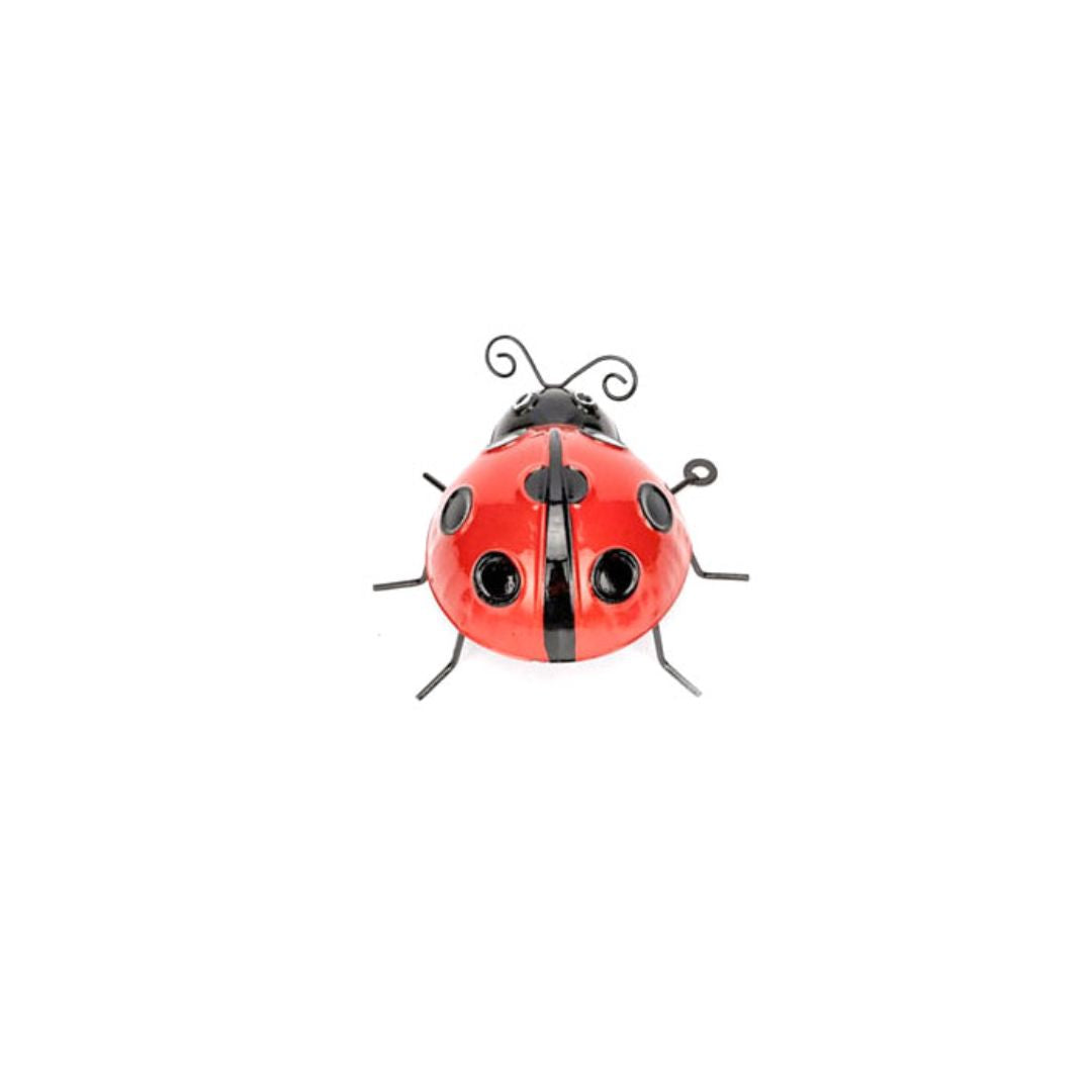 Ladybug Red Medium – Lumpys Nursery & Landscape Yard