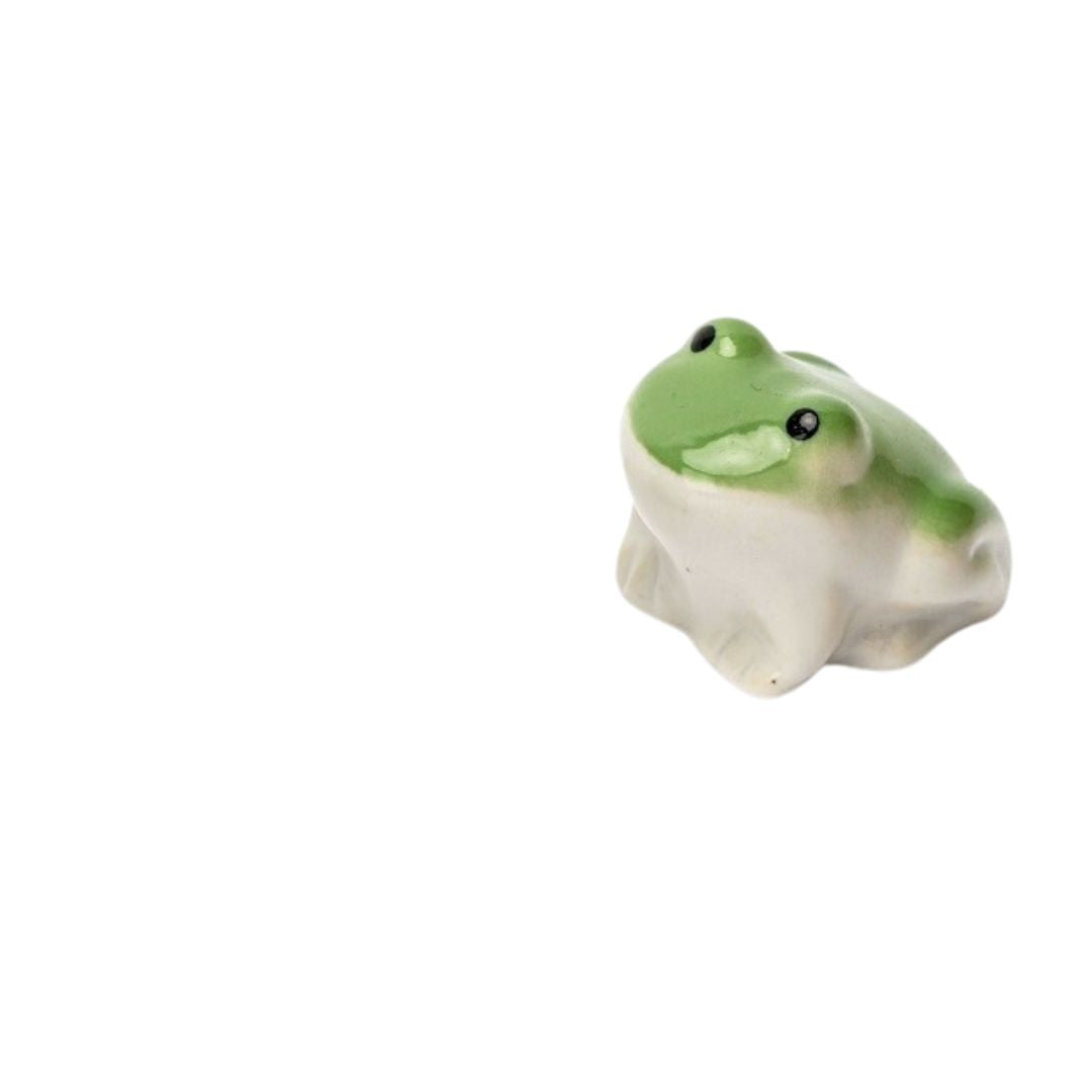 Floating Frog Porcelain Small – Lumpys Nursery & Landscape Yard
