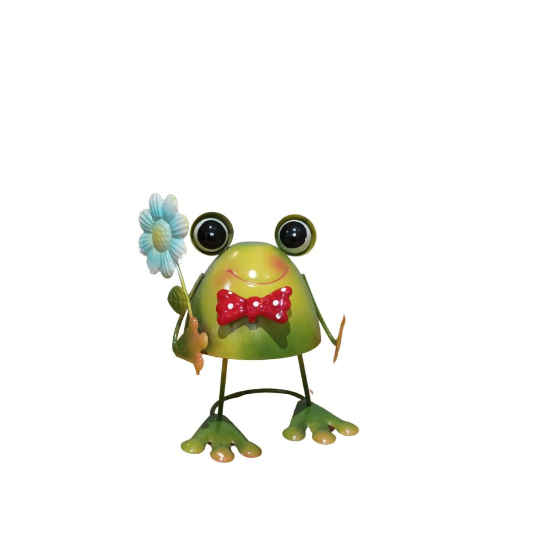 Quirky Frogs 105 X 85 X 135mm – Lumpys Nursery & Landscape Yard
