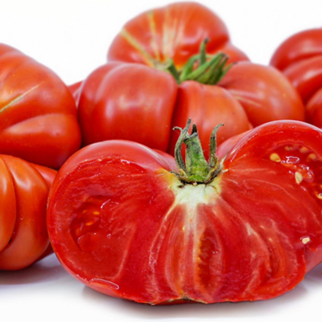 Tomato Heirloom Marriage Genuwine 100mm – Lumpys Nursery & Landscape Yard